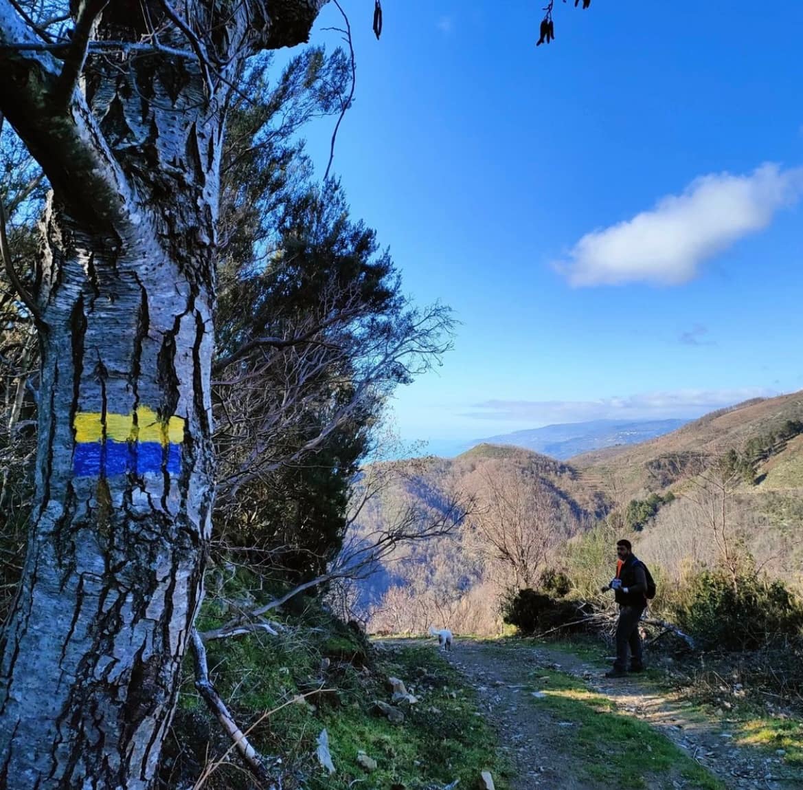 The Way of Saint Francis - Tuscany Quintessence